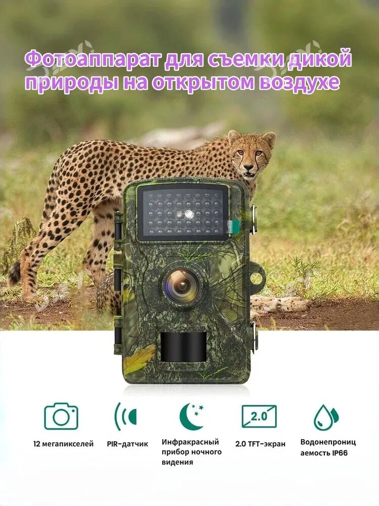 Фотоловушка — фото 1