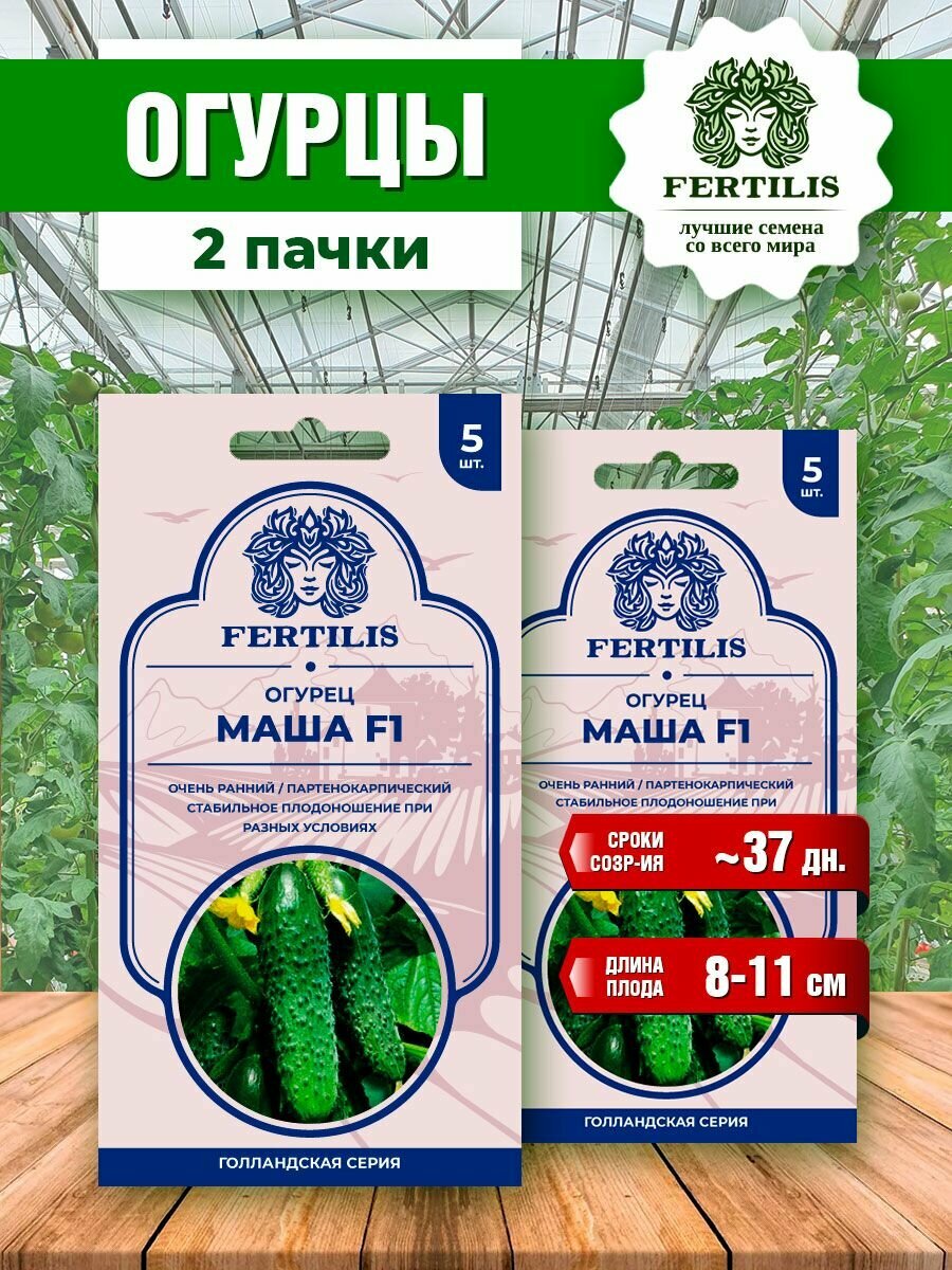 Семена урожайного огурца Маша F1 от компании Fertilis (2 пачки)