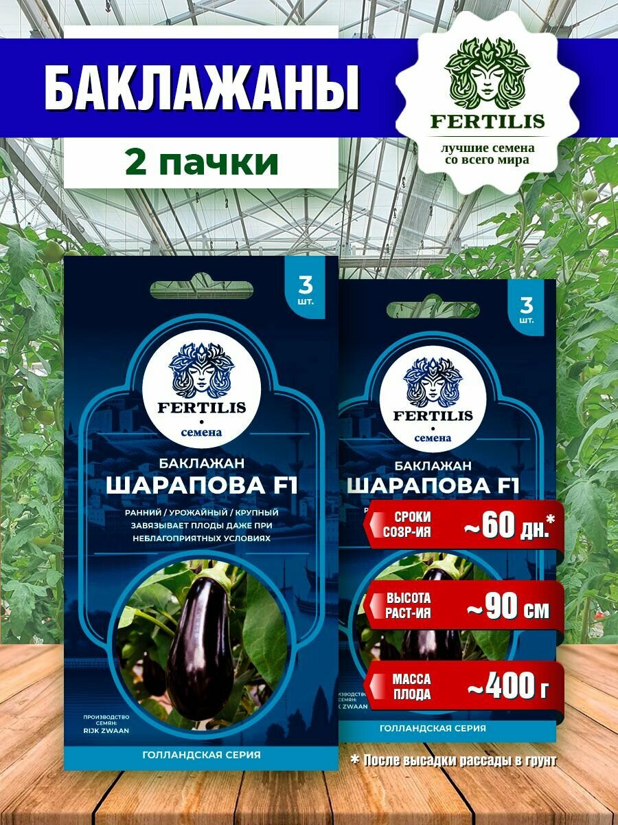 Семена урожайного баклажана "Шарапова F1" от компании Fertilis (2 пачки)