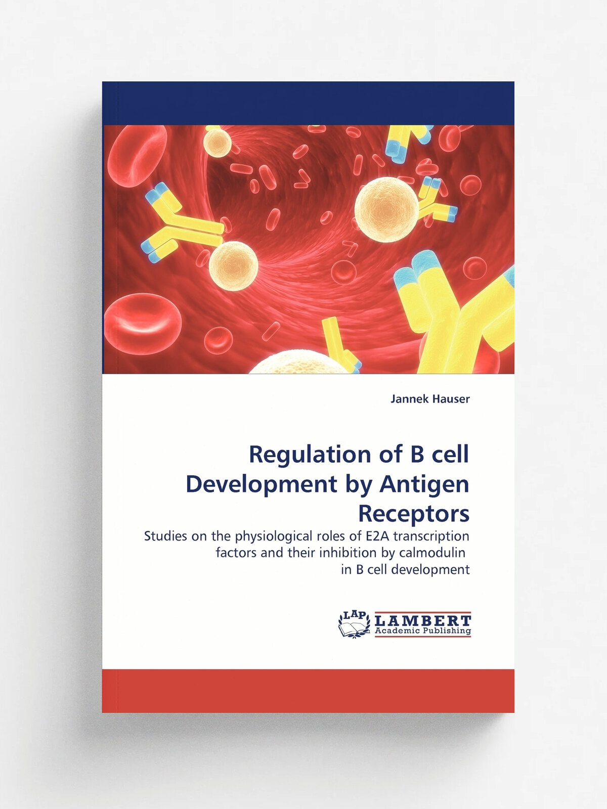 Regulation of B Cell Development by Antigen Receptors