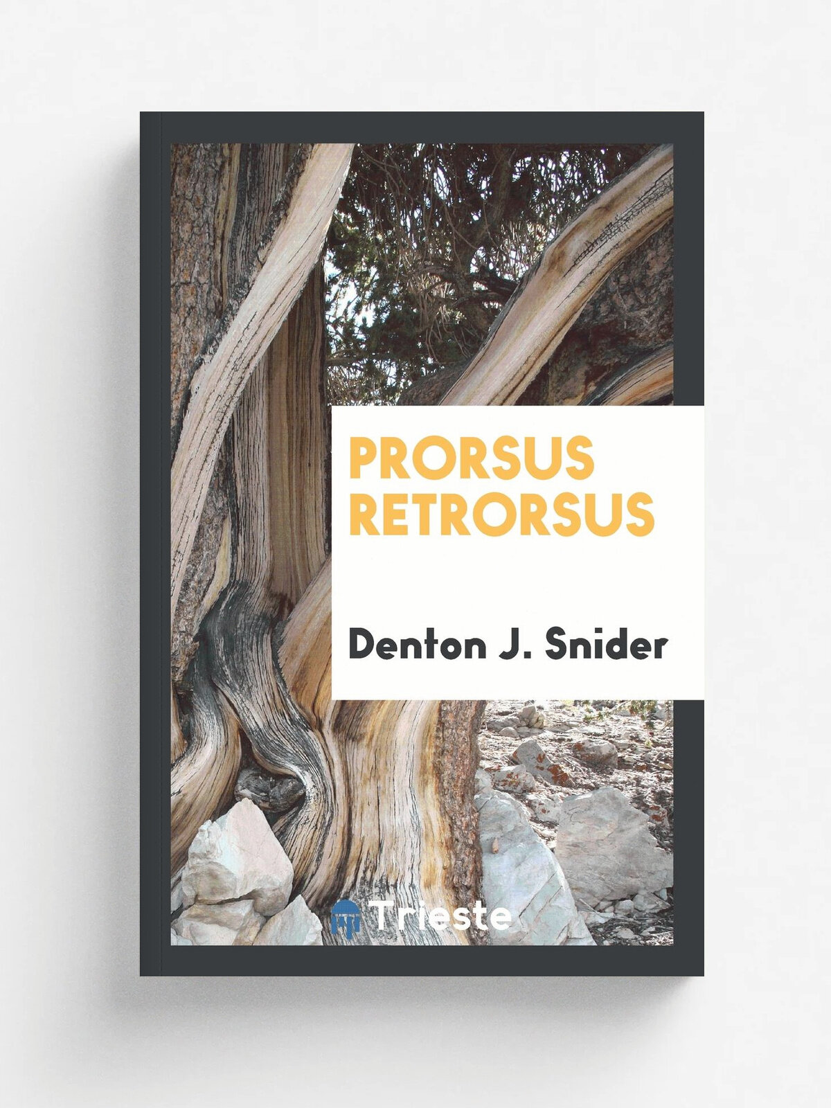Prorsus Retrorsus
