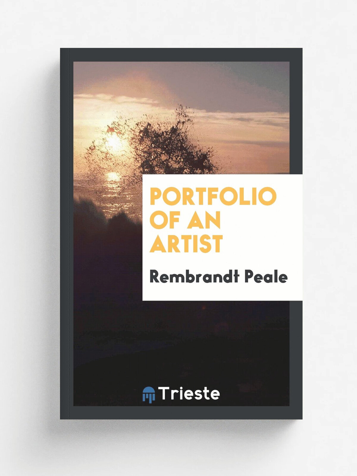 Portfolio of an artist