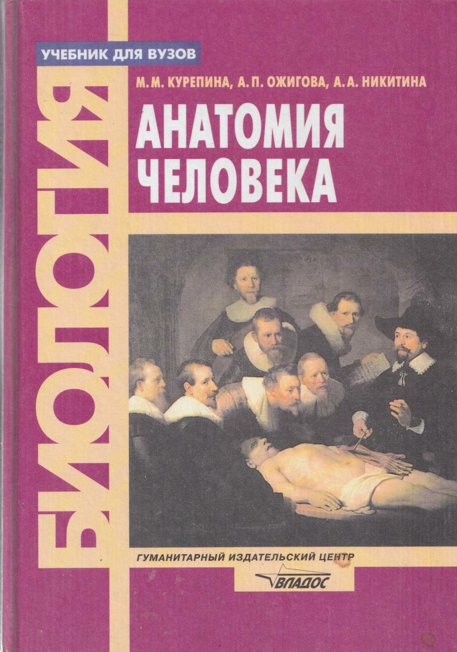 Анатомия человека