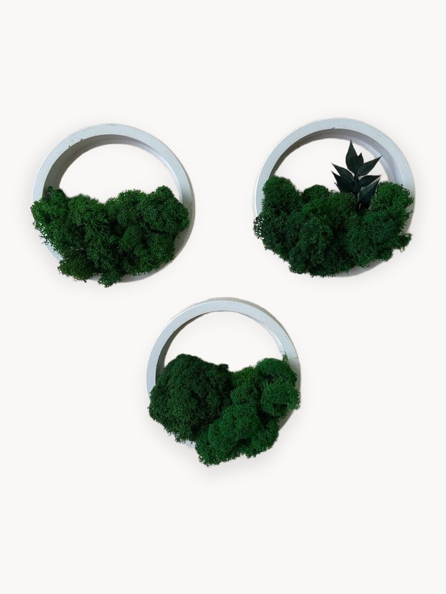 Кашпо Stabflora "Лес" настенное, 3 штуки в наборе, со стабилизированным мхом, гипс, 10х10 см