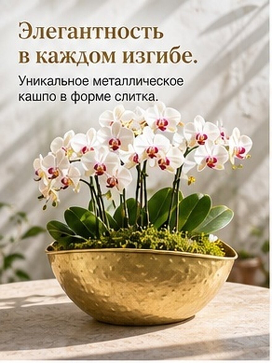 Цветочный Горшок Для Фаленопсиса Золотой 31.00X22.00X13.00Cm