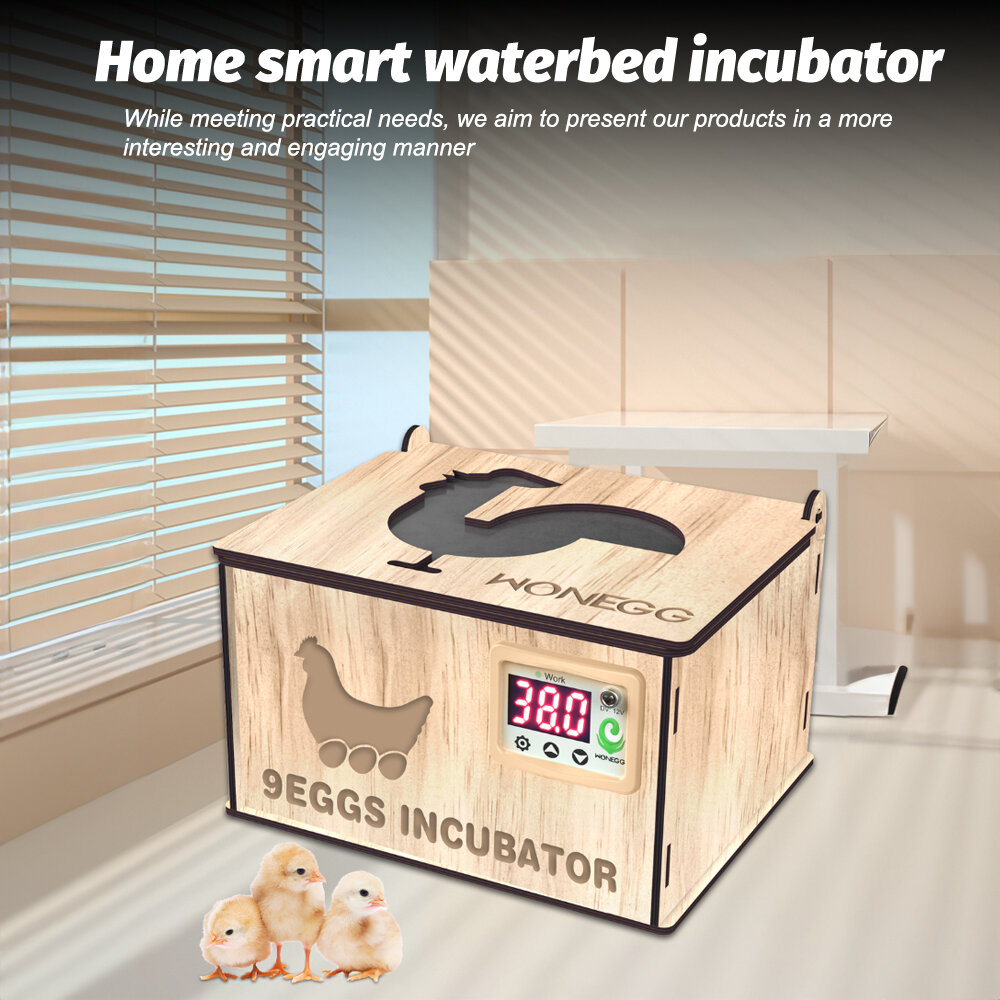 Деревянный инкубатор на 9 яиц с контролем температуры, для кур, уток, гусей, перепелов, школа/дом/ферма