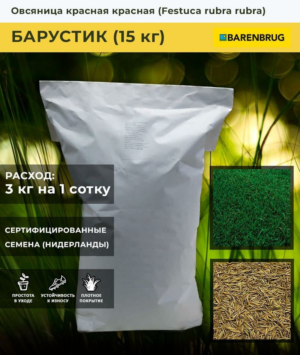 Семена овсяницы красной красной сорт Барустик (фасовка мешок 15 кг)