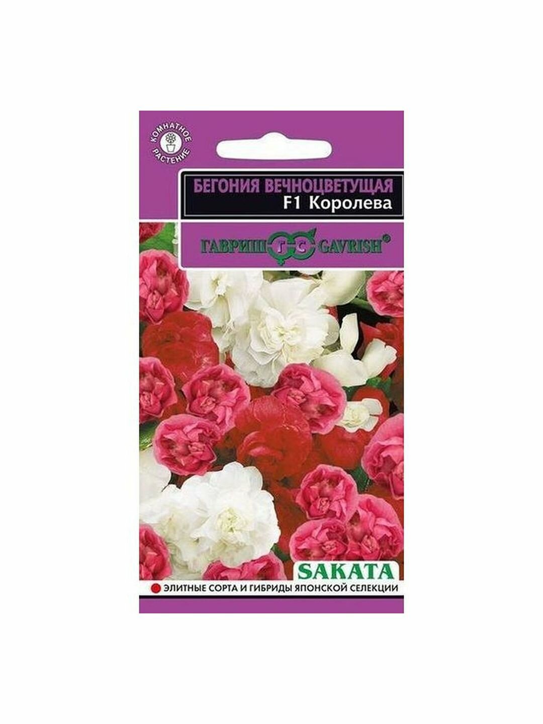 Семена Бегония вечноцветущая Королева F1, однолетник, комнатные, Гавриш, 1 пачка - 4 семян