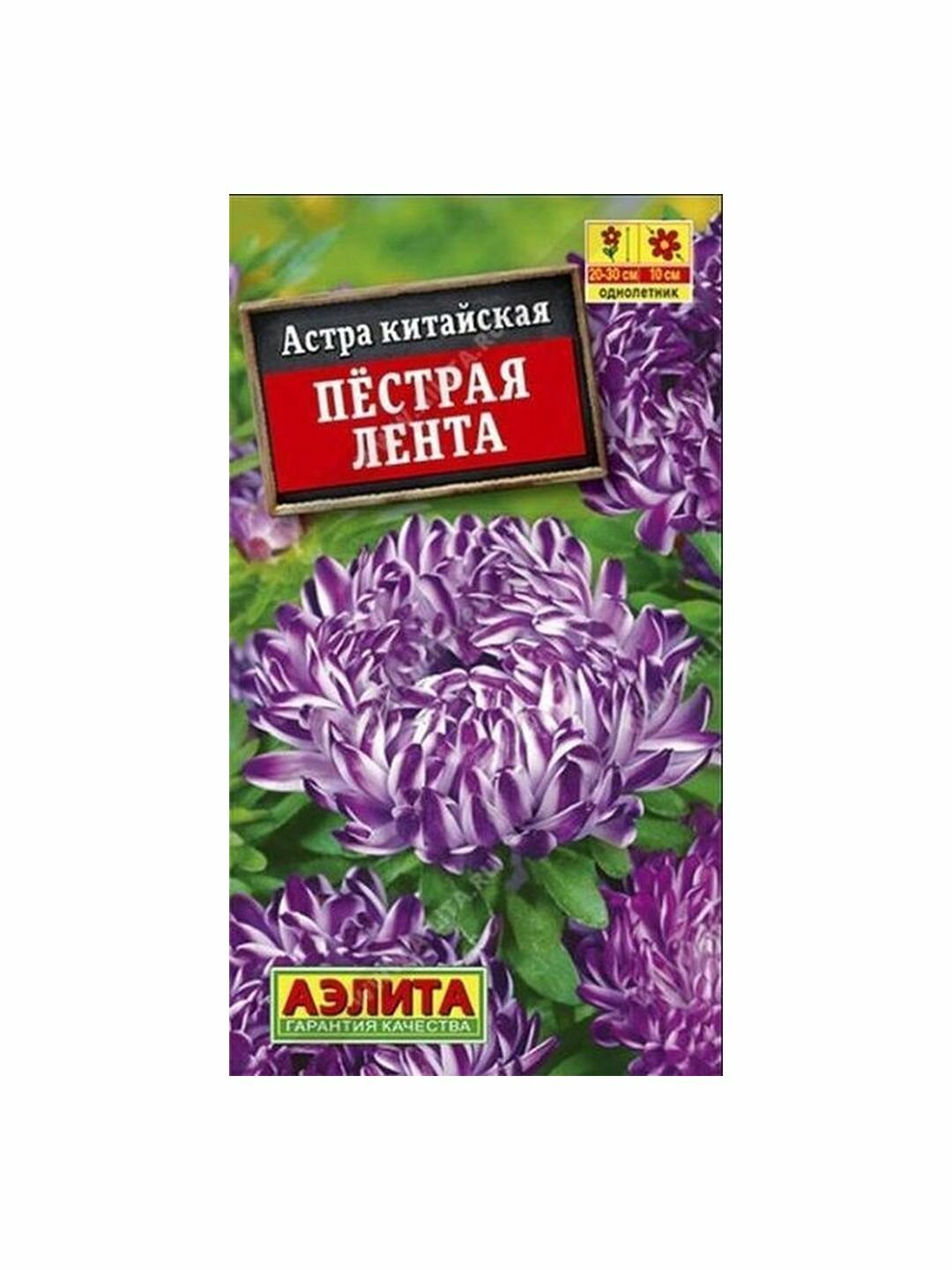 Семена Астра Пестрая лента, однолетник, Аэлита, 1 пачка - 0.1г семян