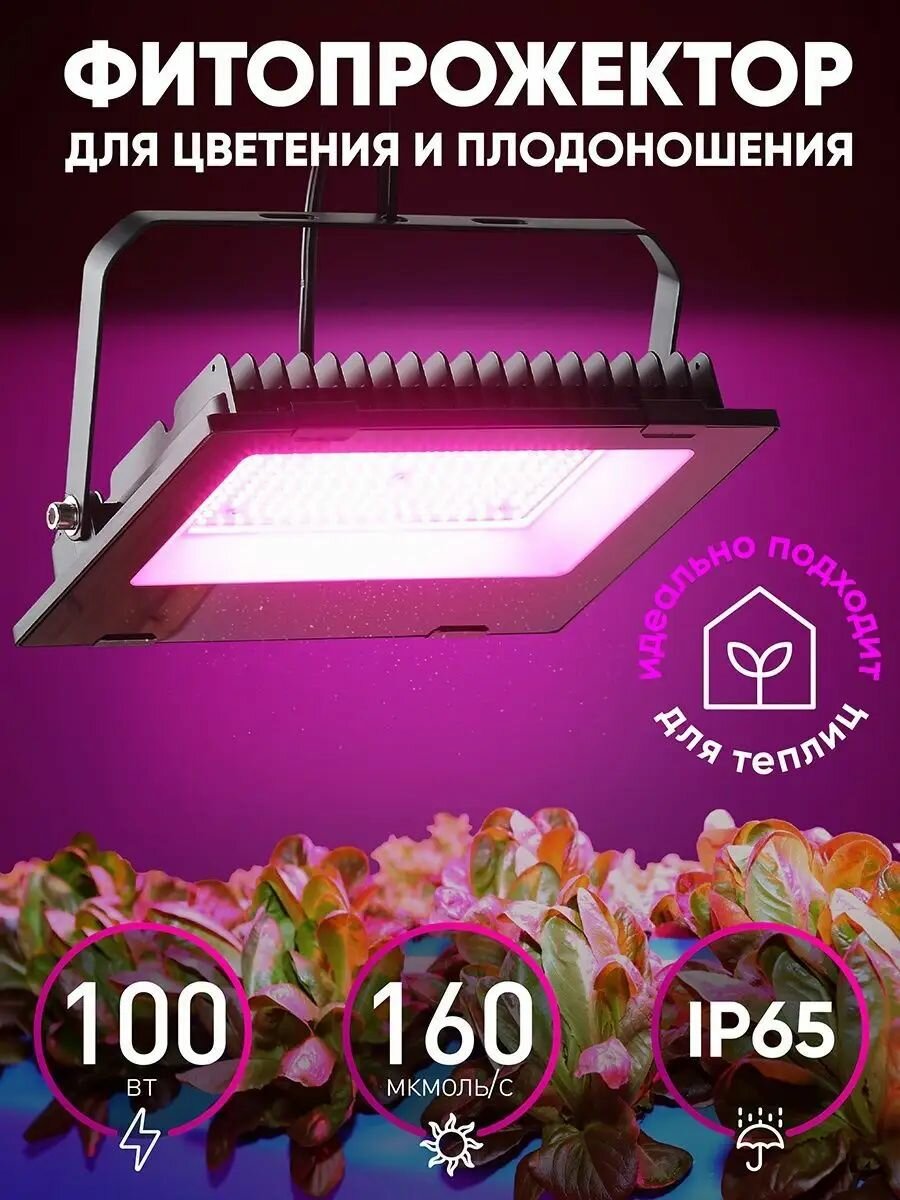 Фитолампа для растений красный спектр FITO-100W-RB-LED / прожектор светодиодный домашнее солнце / фито прожектор для цветения и плодоношения 100Вт