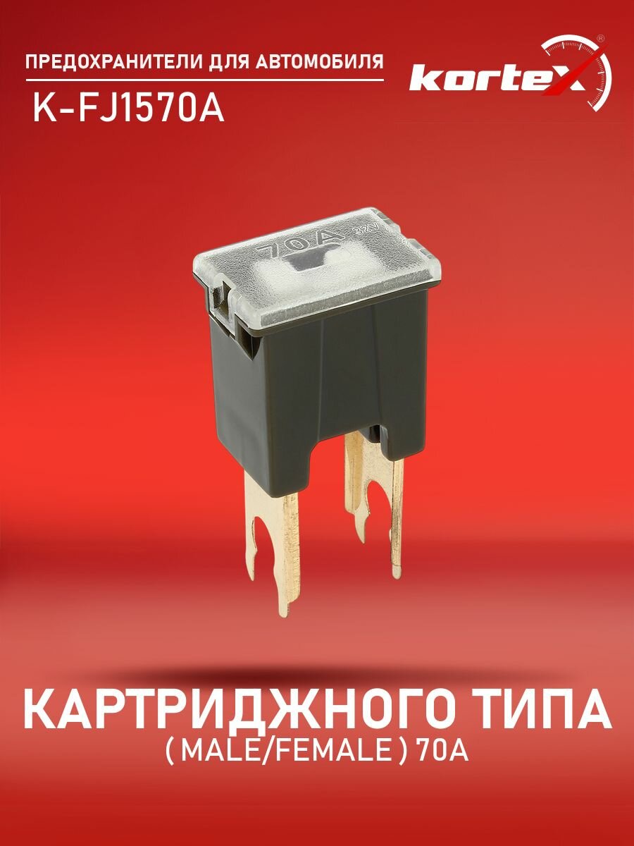 Предохранитель картриджного типа ( male/female ) 70A