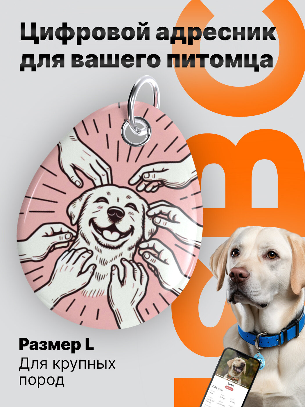 Адресник для собак средних и крупных пород от ISBC с NFC и QR-кодом, My family
