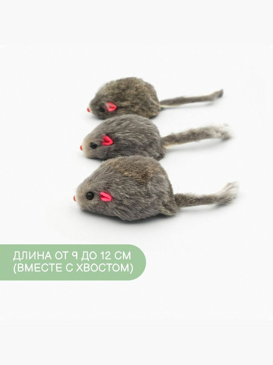 Pet Toy Interactive — фото 1