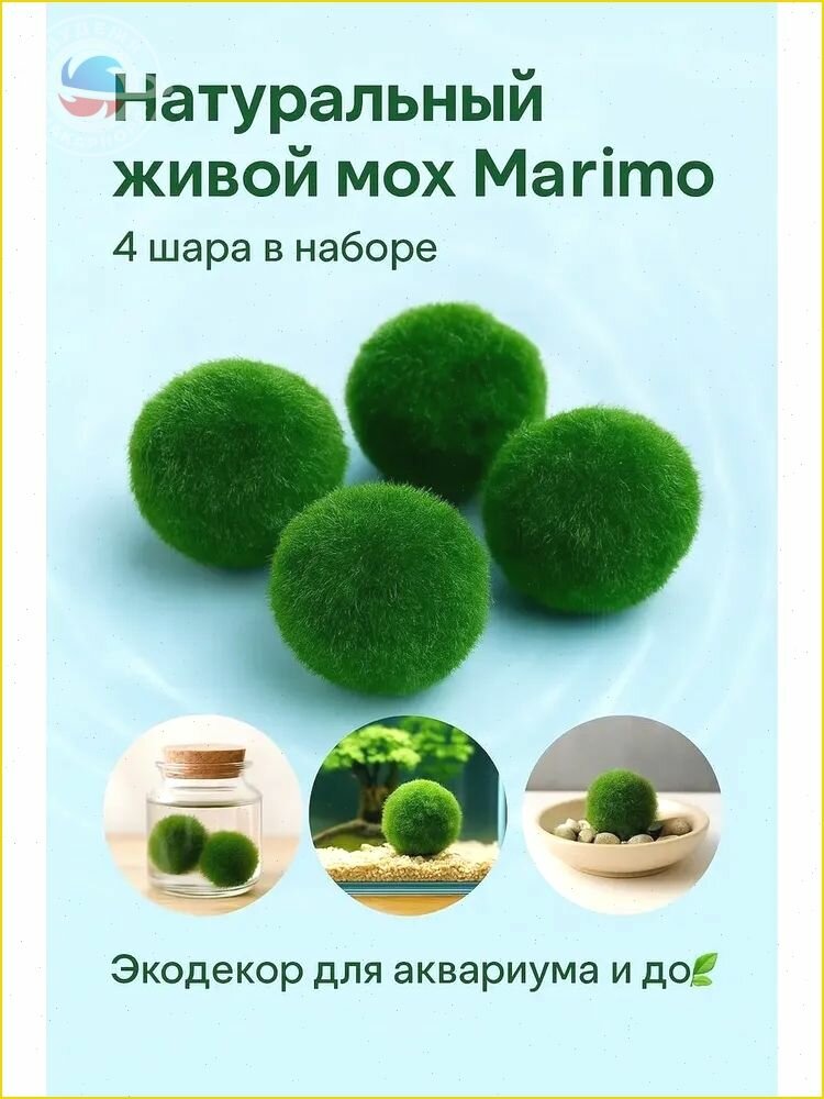 Кладофора шаровидная мох маримо (Aegagropila linnaei) 1см 4шт.