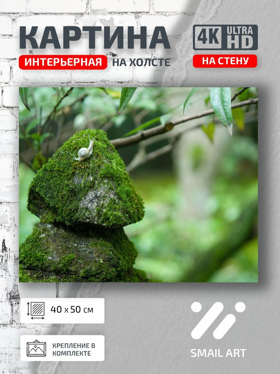 Картина на холсте интерьерная 40 на 50 на стену Мохом Landscape для гостиной пейзаж декор