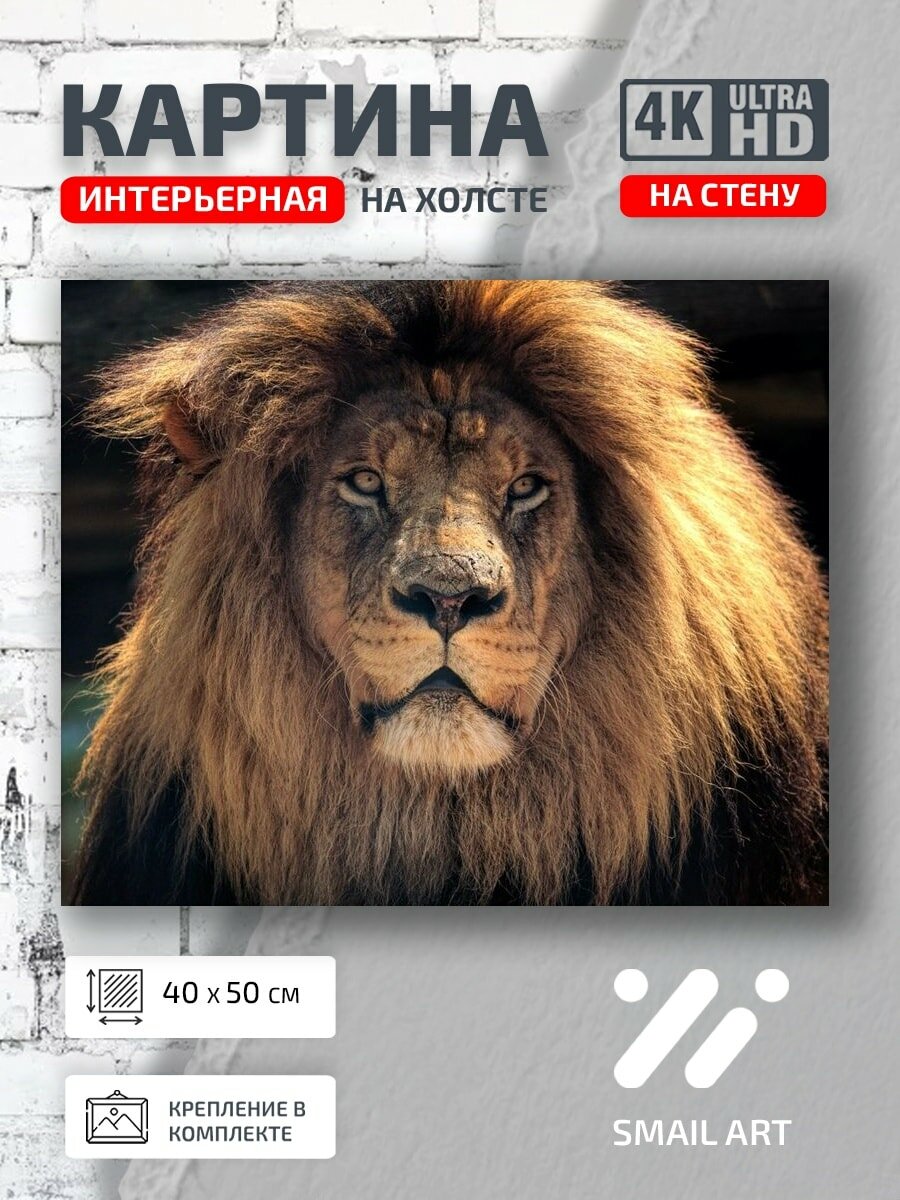 Картина на холсте интерьерная 40 на 50 на стену Дикое животное для офиса атмосфера