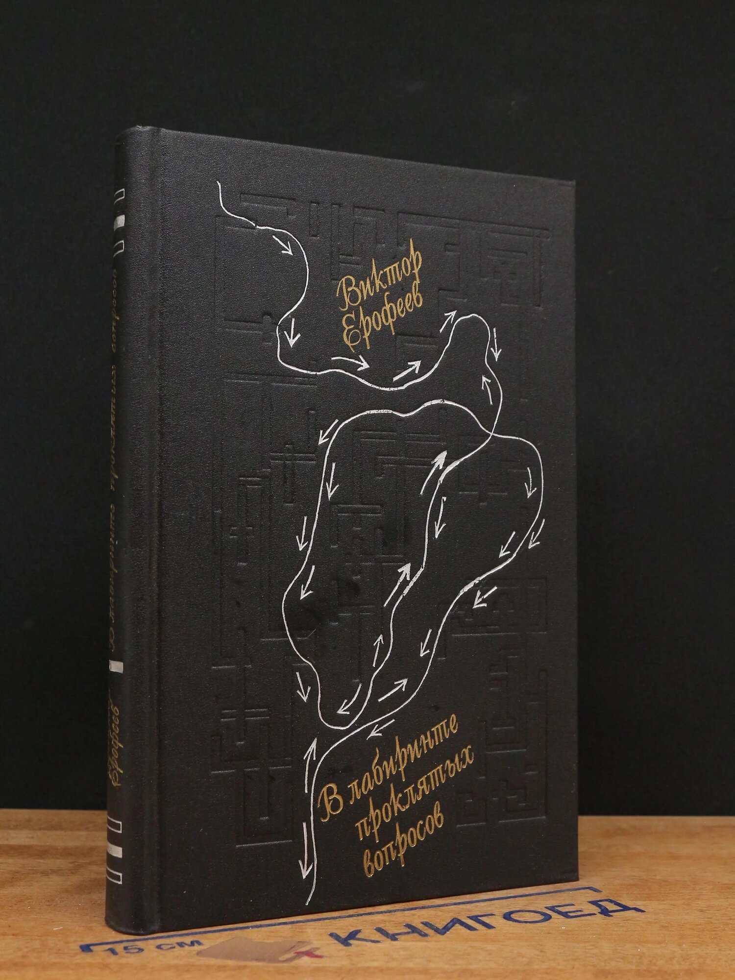 Книга. В лабиринте проклятых вопросов 1990 (20373946701793)