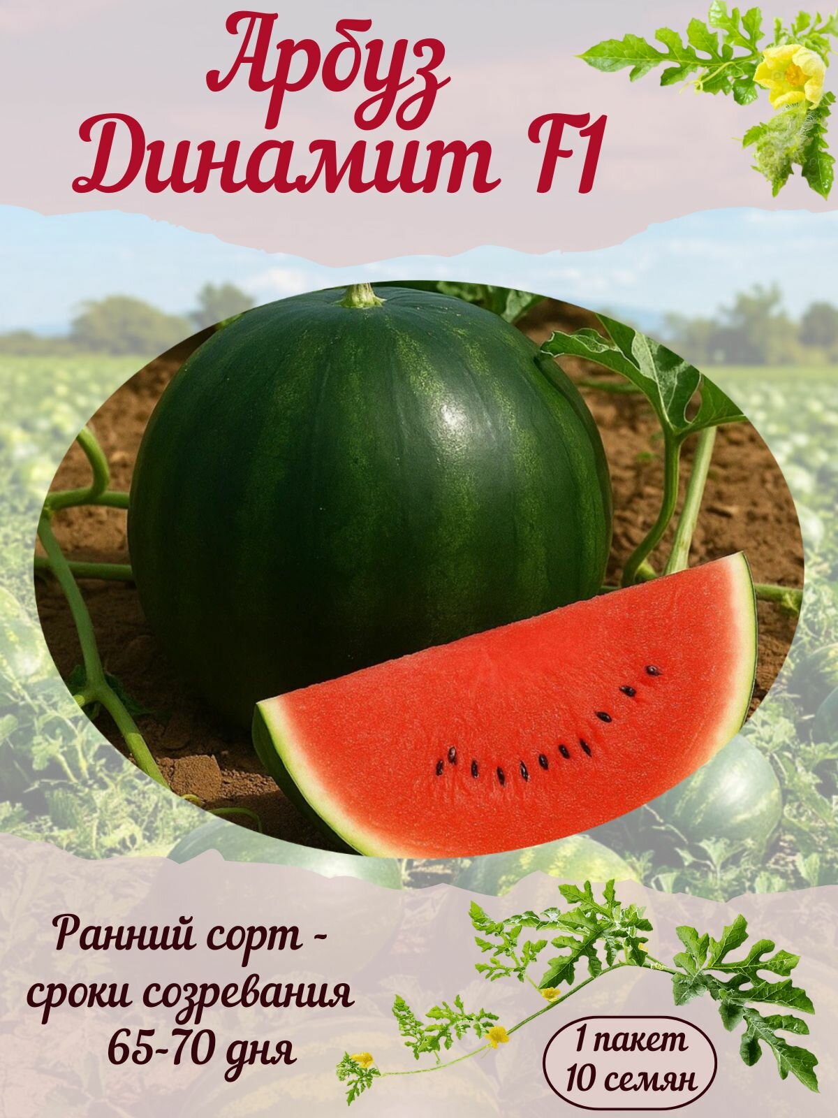 Арбуз Динамит F1, семена, 10 шт, 15 гр.