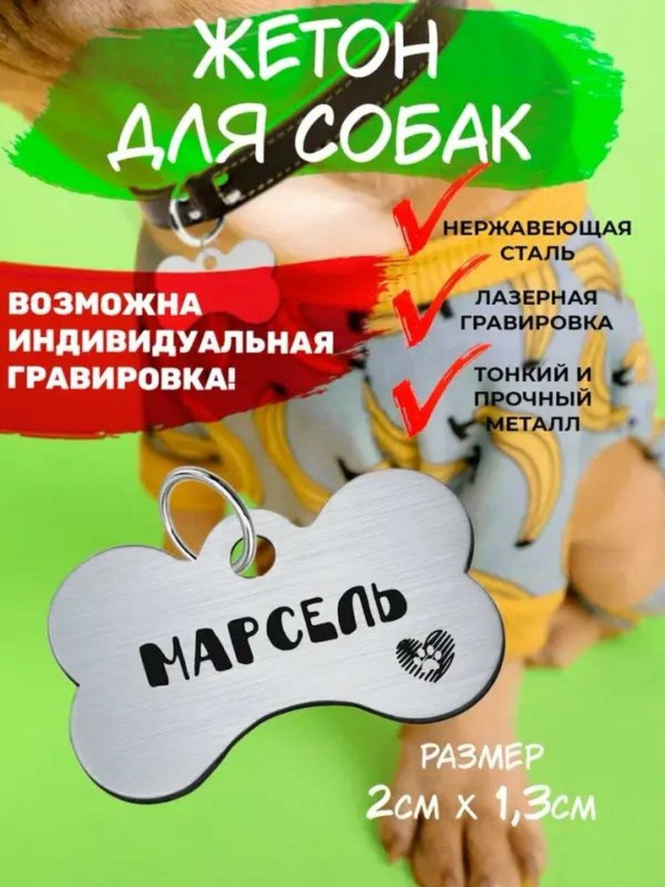 Адресник для собаки с гравировкой, нерж. сталь, серебристый, Марсель