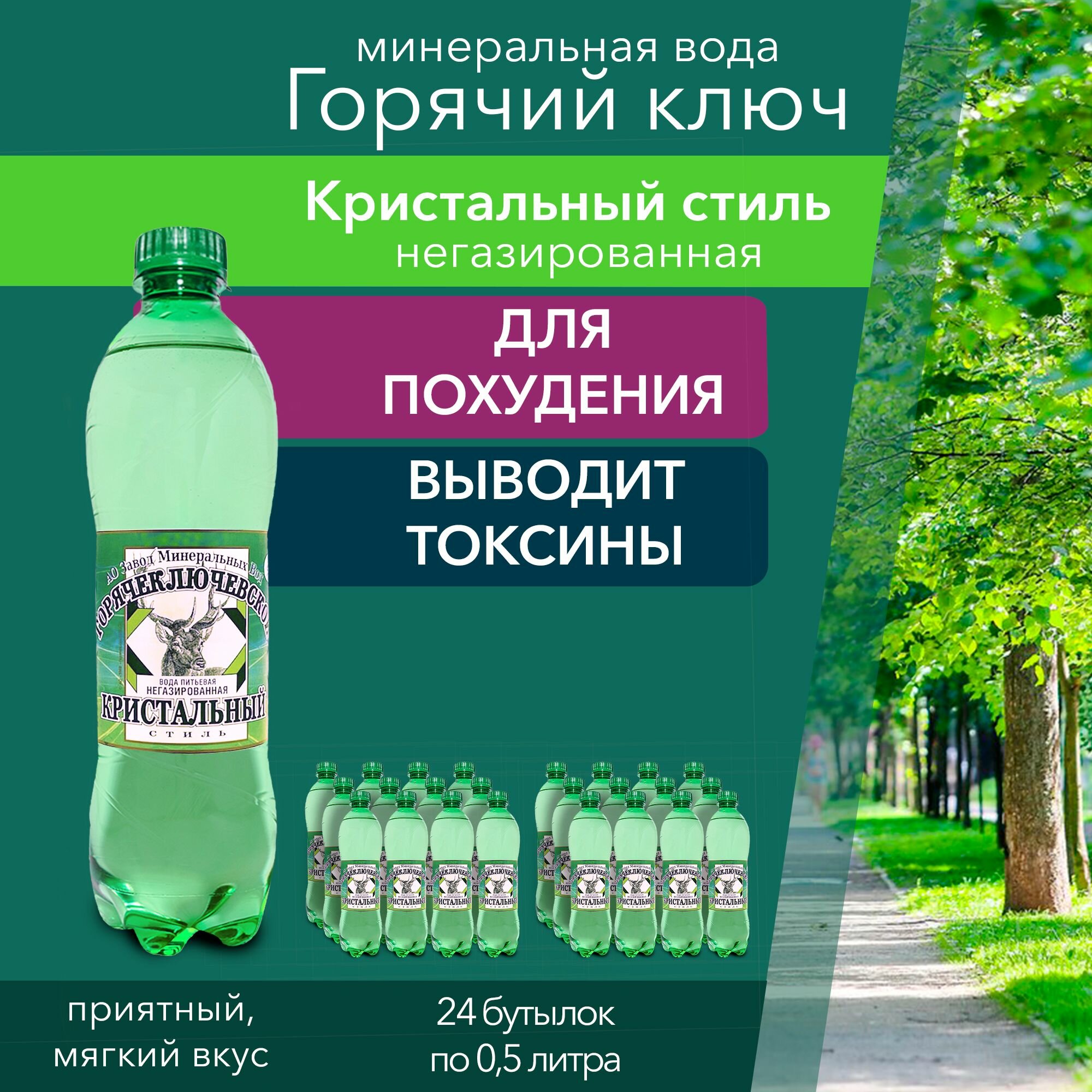 Вода Горячий Ключ Кристальный стиль. Объем 0.5л*24. Вода минеральная негазированная природная лечебная, выводит токсины,