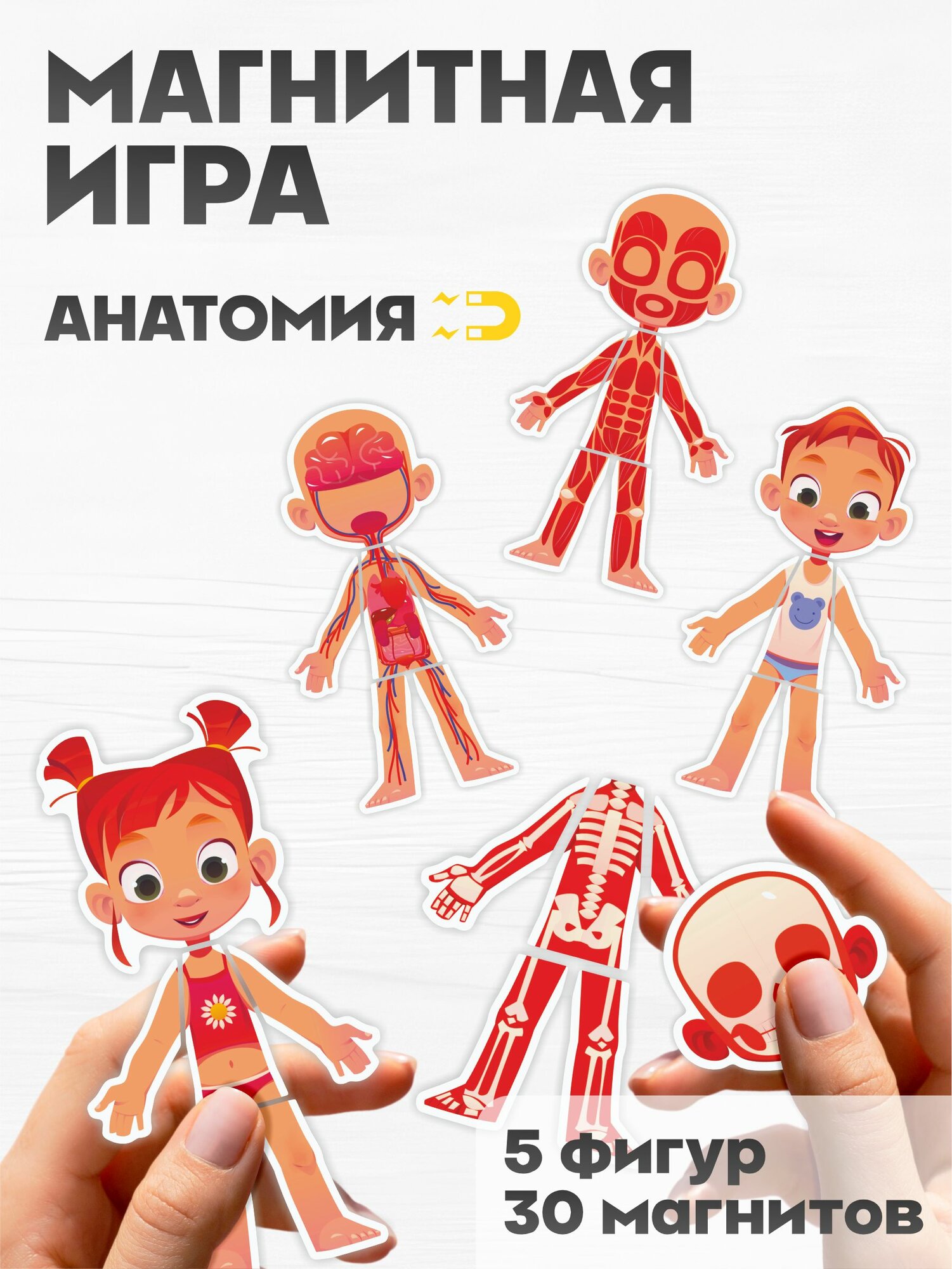 Настольная игра сортер магнитная Анатомия
