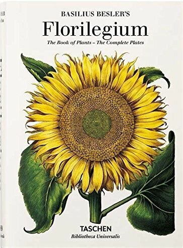 Florilegium. The Book of Plants. Garden at Eichstatt