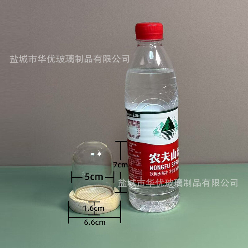 Прямые поставки с фабрики: вечные цветы, сушеные цветы, стеклянная крышка, демонстрационная коробка, пылезащитный чехол, фигурка, ручная модель, стеклянная крышка