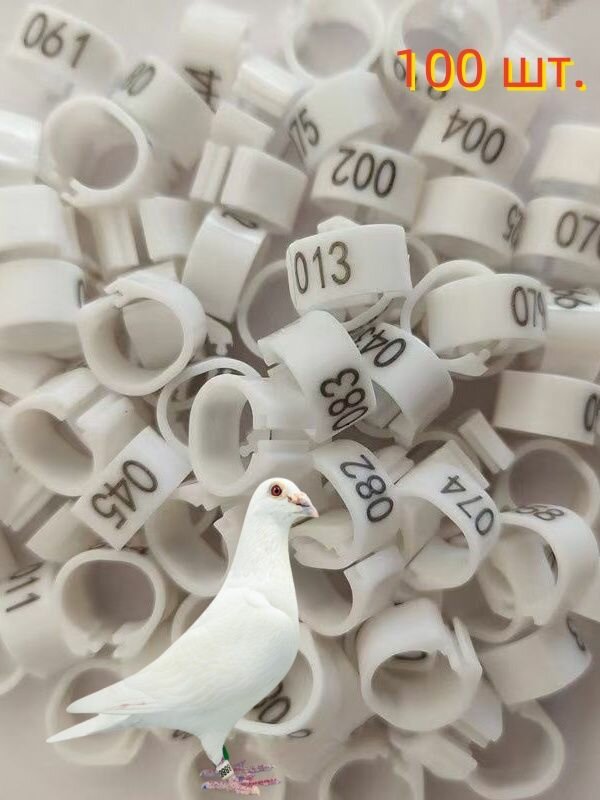 100 шт. Меточные кольца для птиц 8мм , маркировка для голубей, Меточные кольца