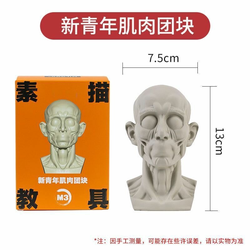 Модель головы Милонга, голова Тэо, гипсовая модель головы, учебное пособие, реалистичная голова, мини-версия, гипсовая модель для эскизов