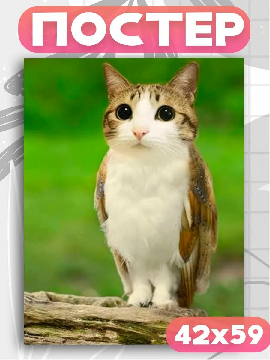 Постеры на стену для интерьера Meowl мем Котосова, плакат 1шт, А2 размер.