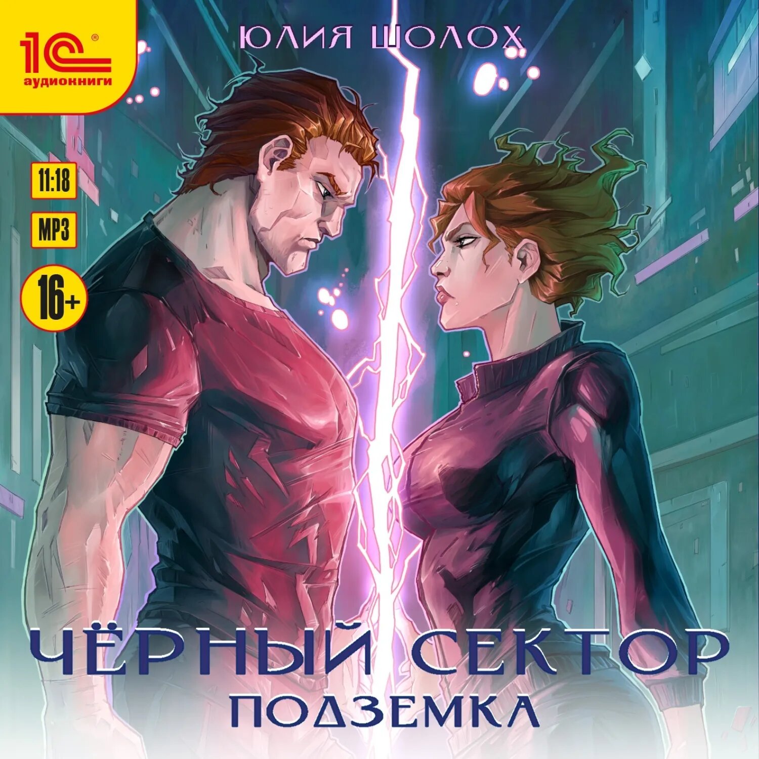 Чёрный сектор. Подземка [Аудиокнига]