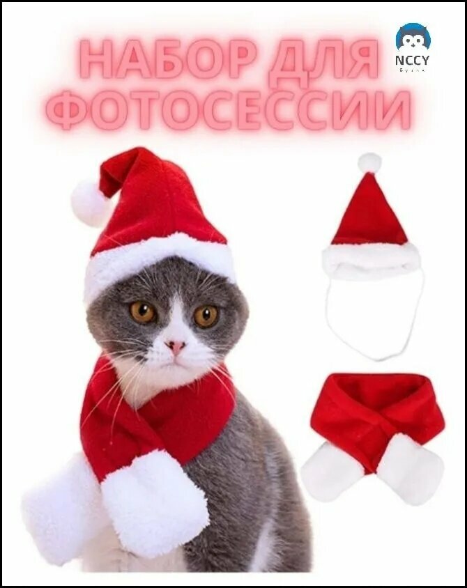 Эксклюзивный праздничный комплект для фото питомцев, включая новогодний колпак