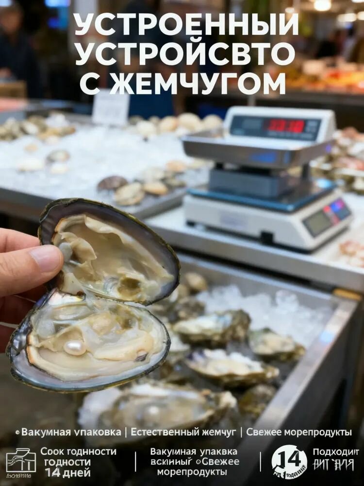 Жемчужина желаний в ракушке K8