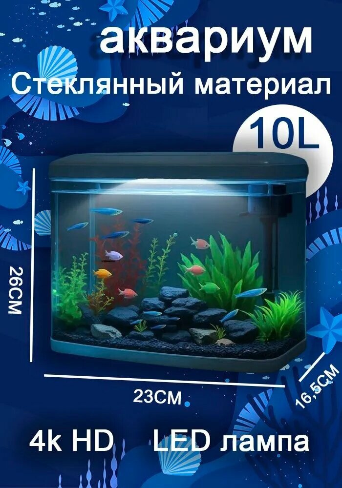 Панорамный стеклянный аквариум, оснащенный фильтром и системой освещения