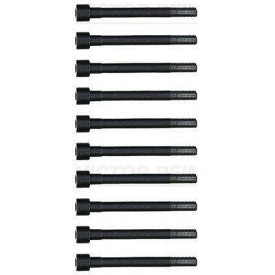 Комплект болтов ГБЦ VICTOR REINZ 14-55096-01 Hyundai Accent, Kia Cerato, Rio, Spectra 1.4-1.6 95-> Mot. G4ed, G4ee, G4er, 10 шт