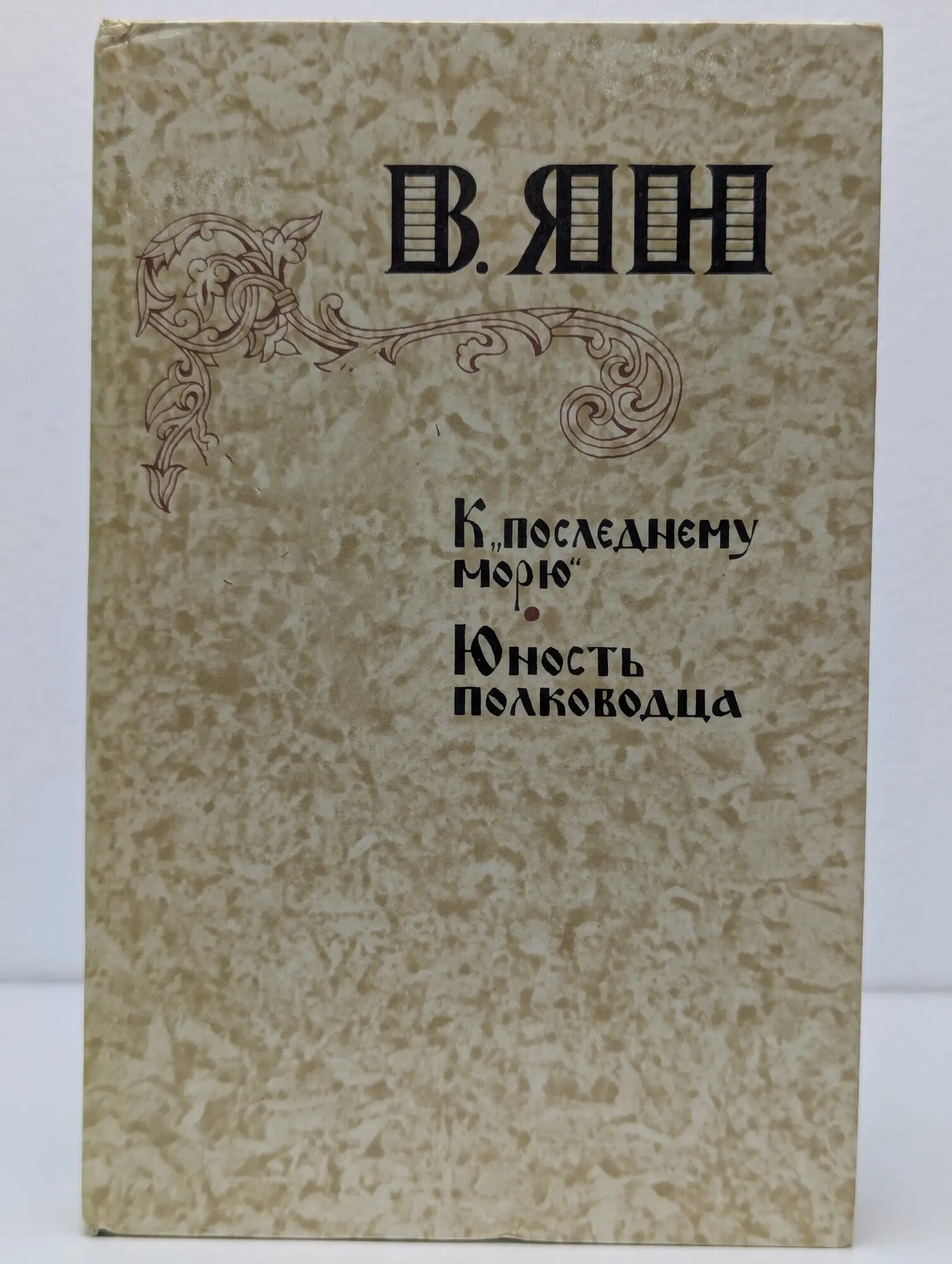 К последнему морю. Юность полководца Ян Василий Григорьевич 1981