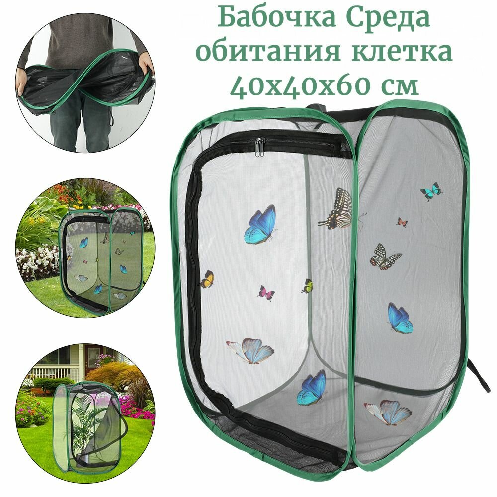 Ферма бабочек — фото 1