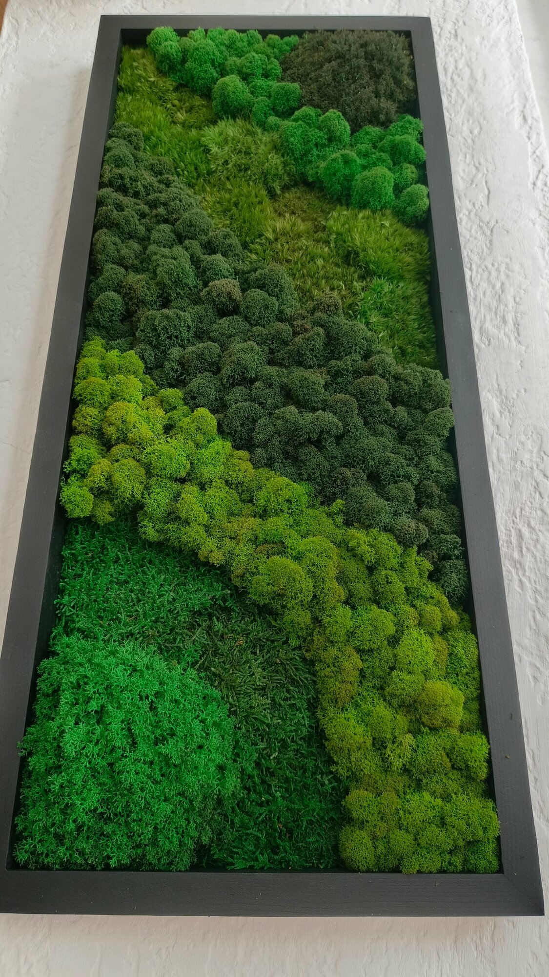 Панно из мха /70*30 / Как мечта — фото 1