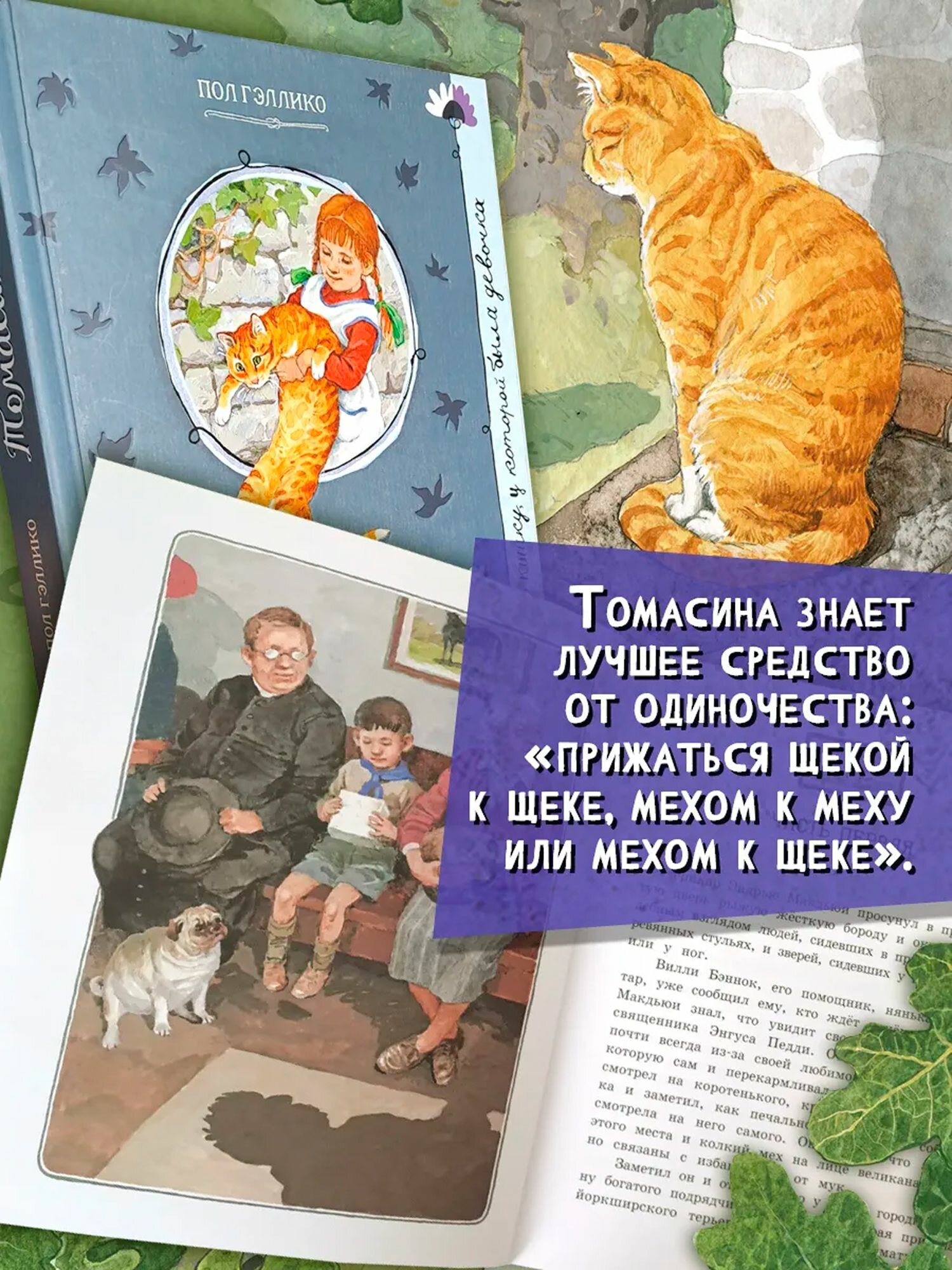 Книга Лабиринт Пресс "Томасина", Гэллико П, твердый переплет, цветные иллюстрации — фото 1