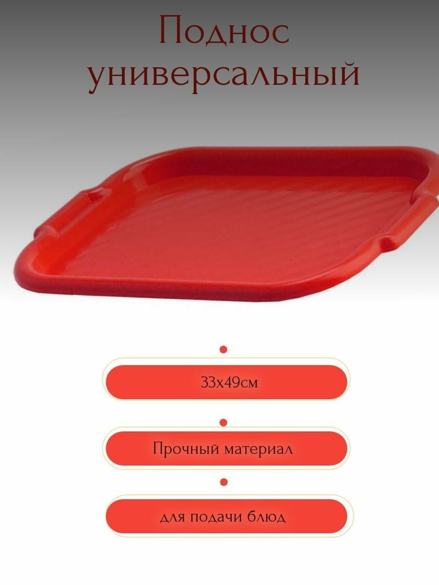 Поднос универсальный большой 33х49см