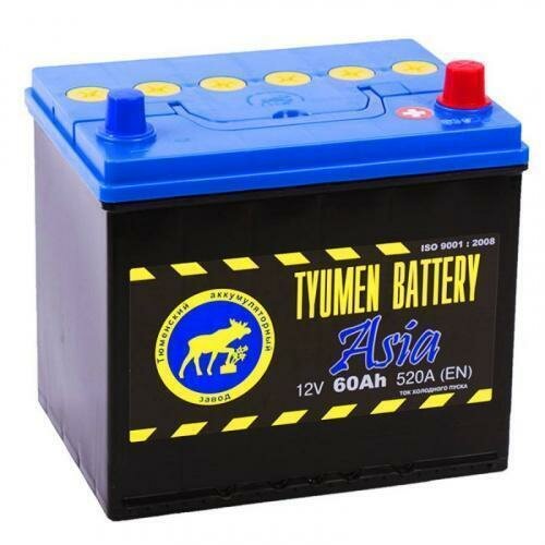 Автомобильный аккумулятор Tyumen Battery Asia 65 Ач обр. пол. 580A (232x173x225)