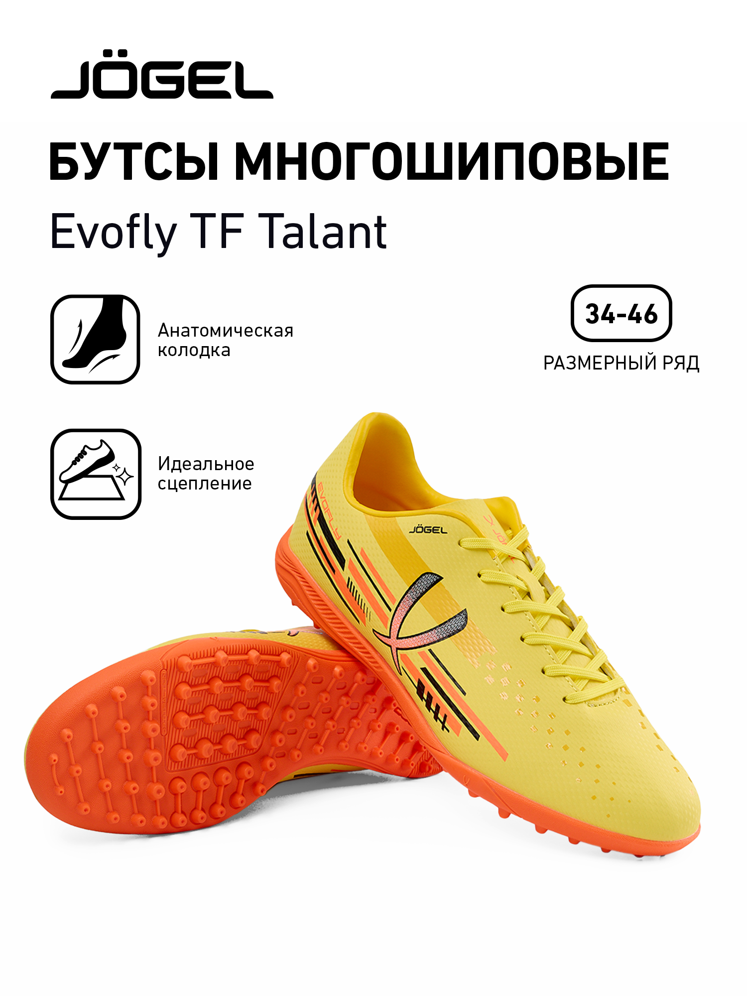 Сороконожки