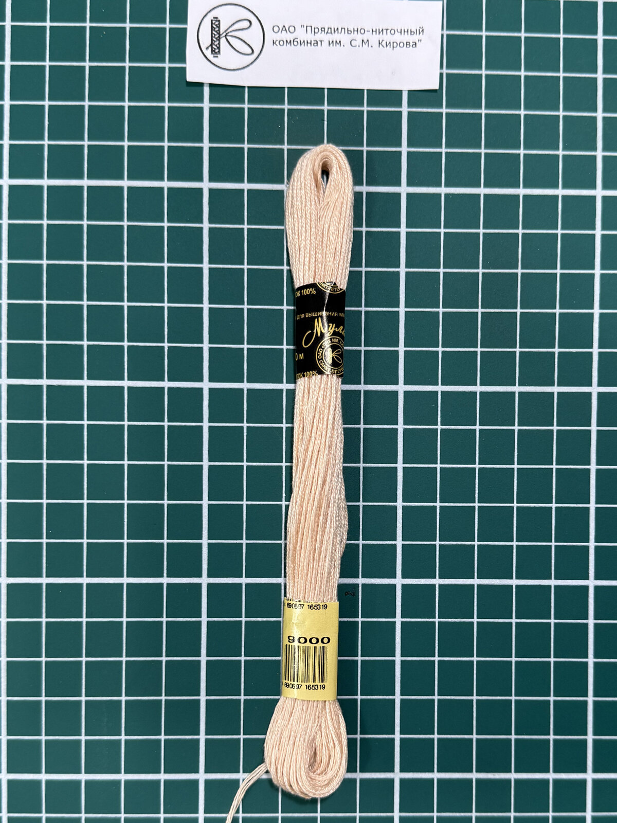 Нитки вышивальные Мулине 10м, цвет: 9000, ПНК им. Кирова