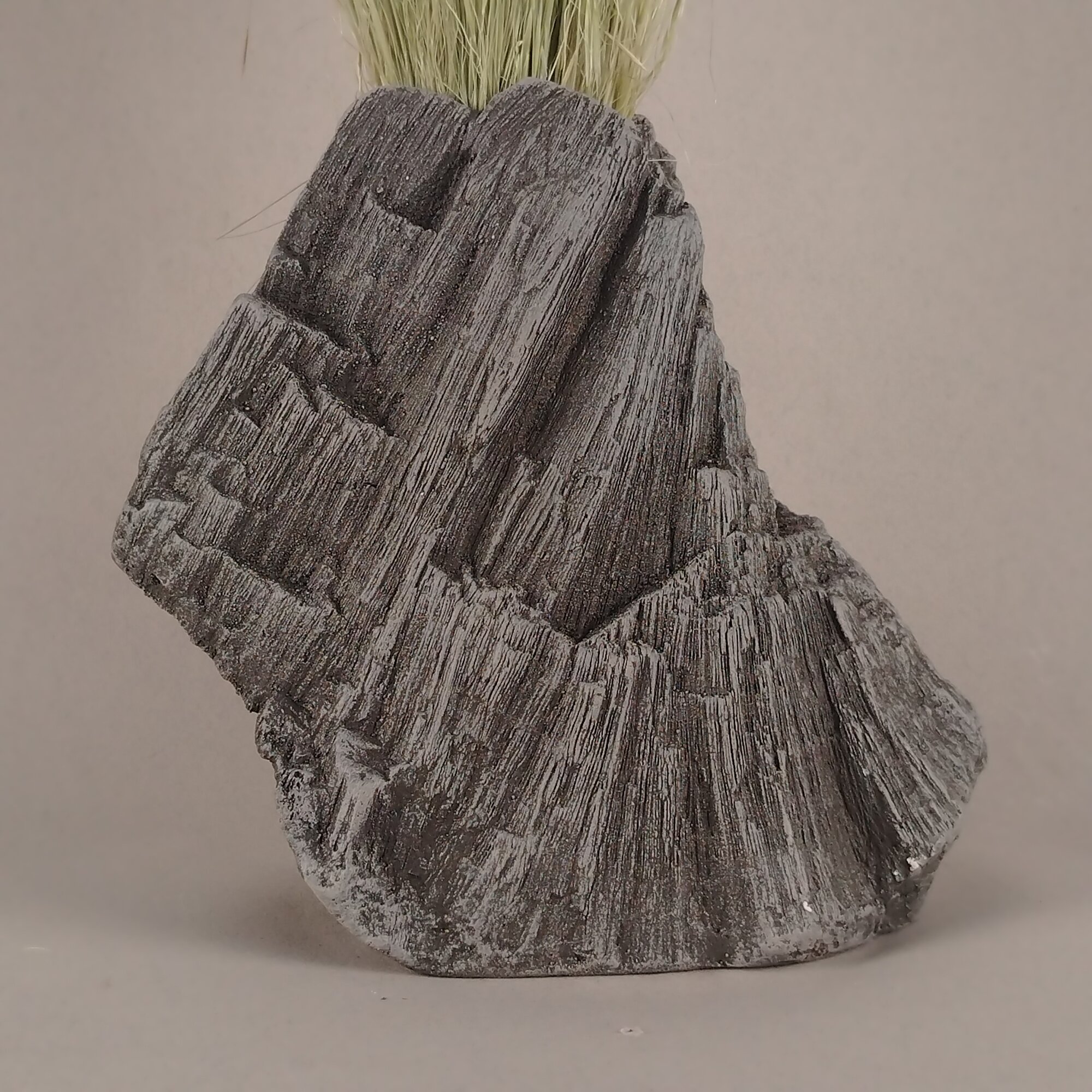 Corallo antico - ваза под сухоцветы