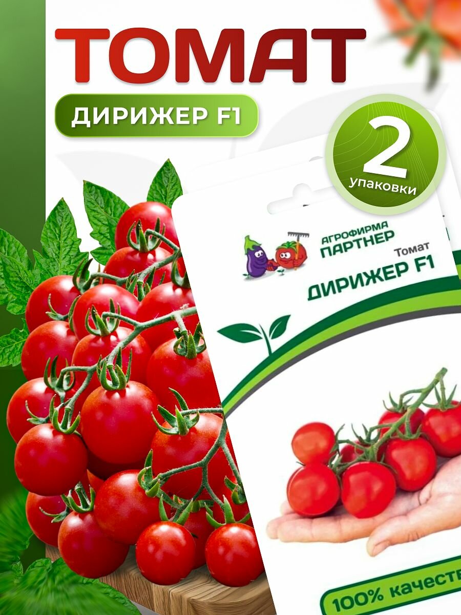 Семена томат Дирижер, 2 упаковки