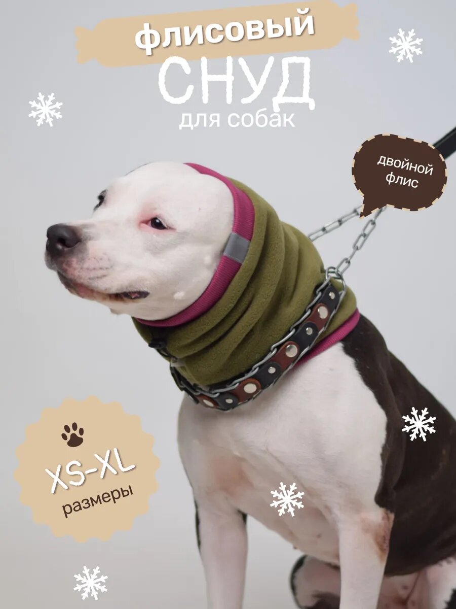 Снуд, шапка для собак