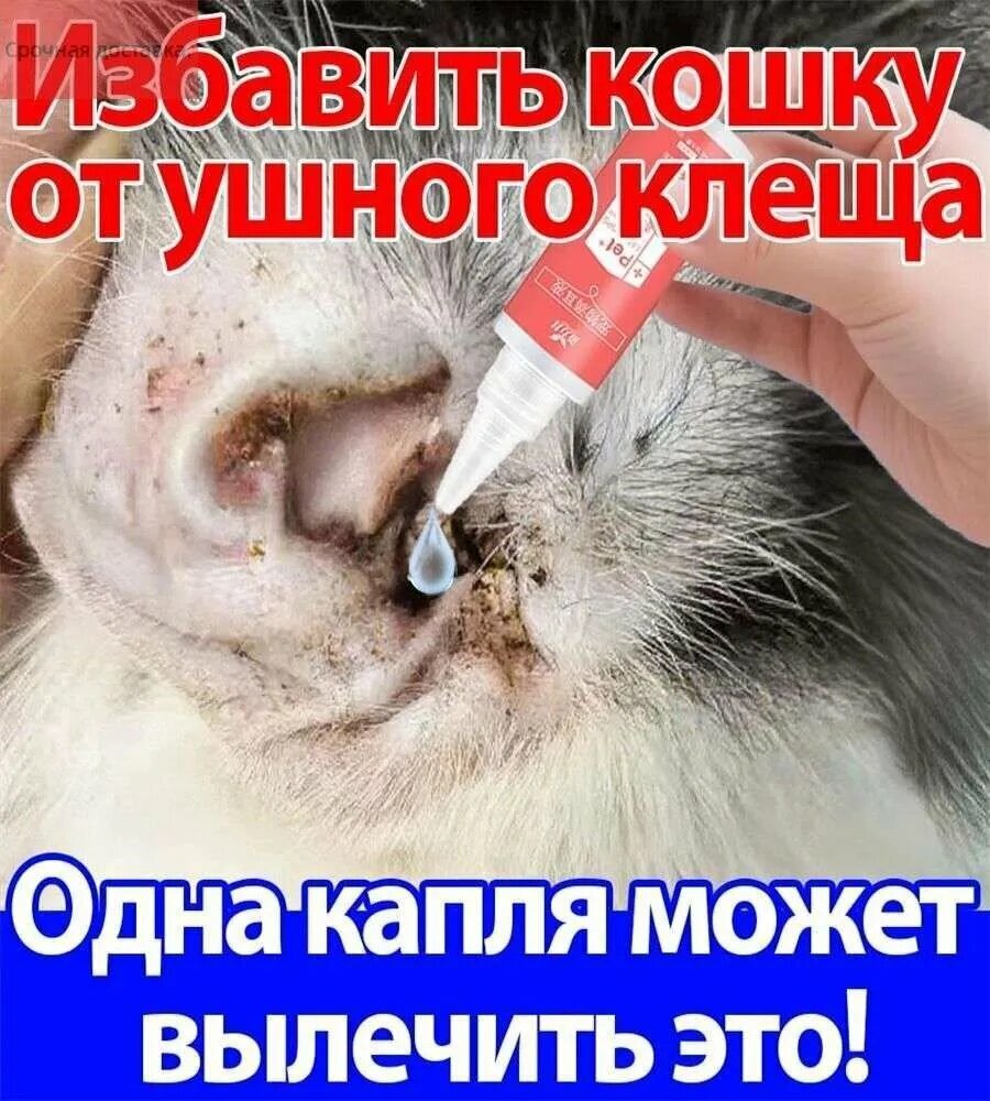 Капли от ушных клещей для кошек и собак, лечение отодектоза, чистка ушей, 60 мл