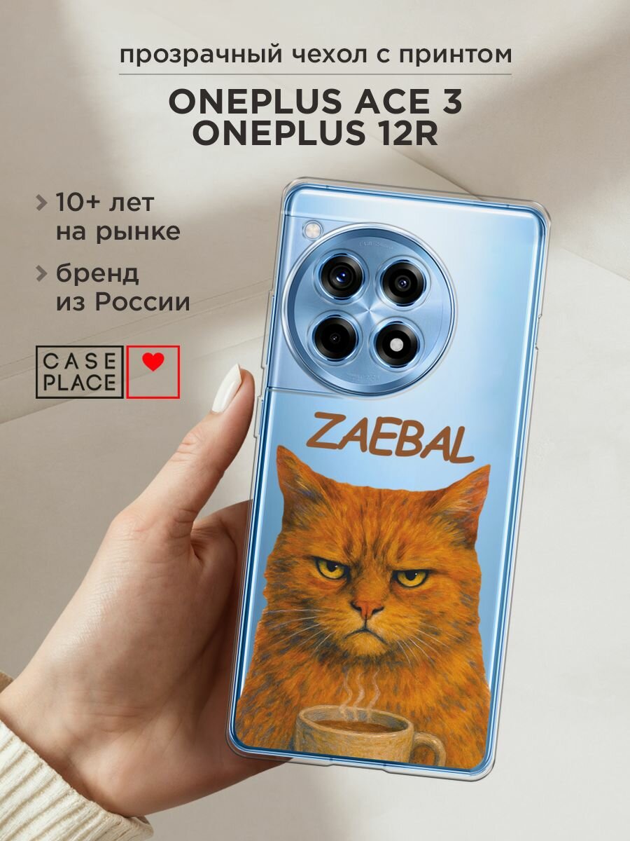 Чехол на OnePlus Ace 3/12R / Ван Плас Асе 3/12R с принтом "Рыжий кот с надписью", прозрачный