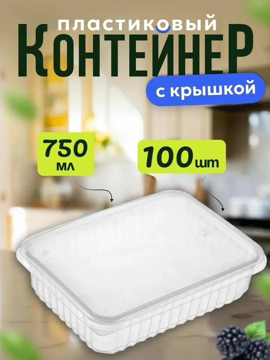 Контейнер одноразовый с крышкой 750мл