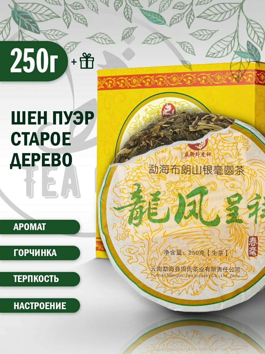 Шен пуэр блин, Старое дерево, 230-250г